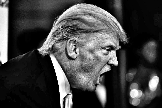 trump road | gregfallis.com