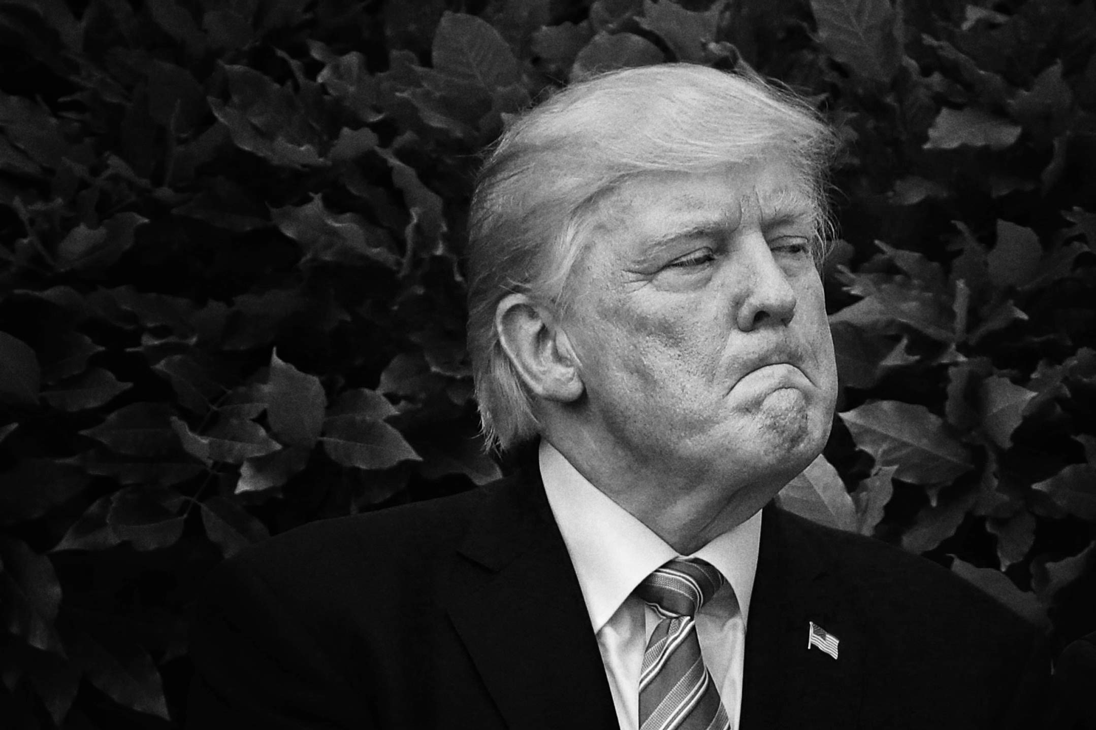 gregfallis.com | it's this or get a real job